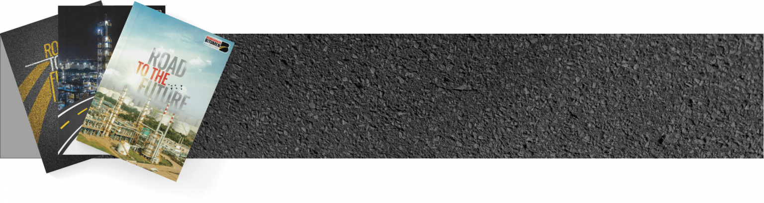 Bashundhara Oil and Gas Company Ltd. (BOGCL)